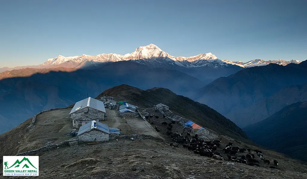 20 Best Easy Treks in Nepal for Beginners in 2025